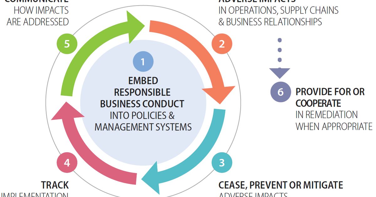 Due Diligence | National Contact Point OECD Guidelines